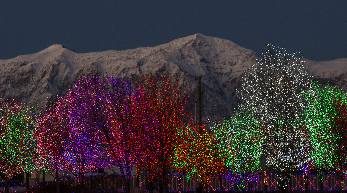 Roy Christmas lights a growing tradition | News, Sports, Jobs ...